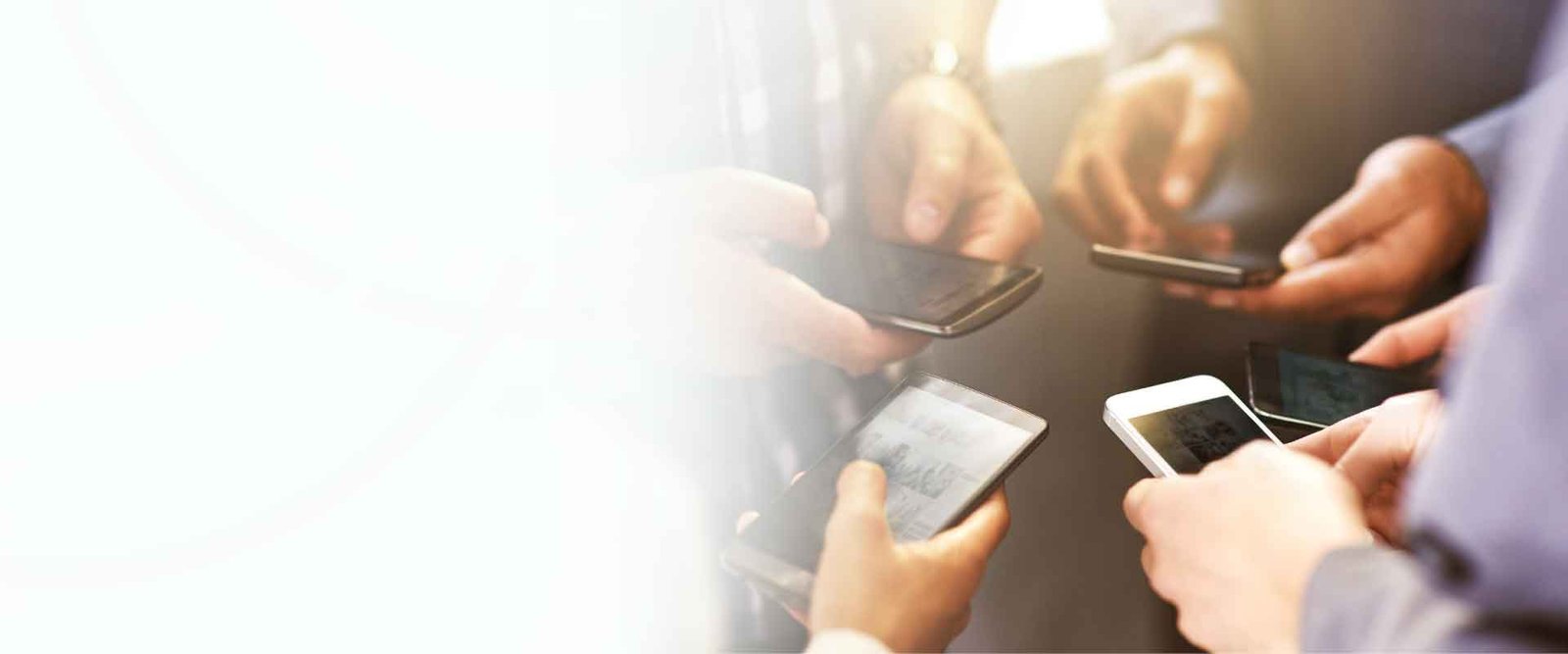 QTC Infotech | Free Mini Website & Web Development Services